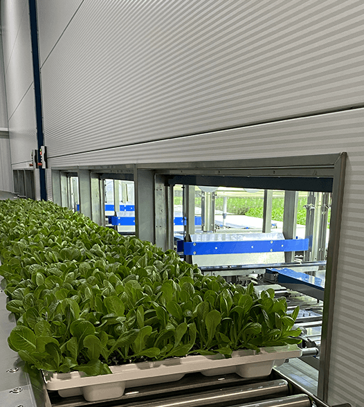 Medium to large size vertical farm with process equipment