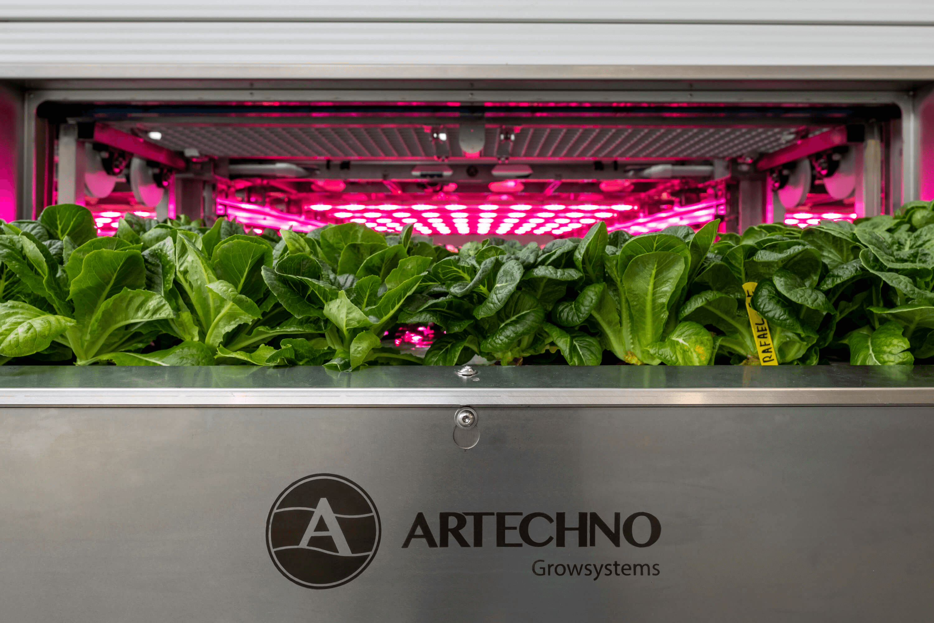 Everything you need to know about vertical farming